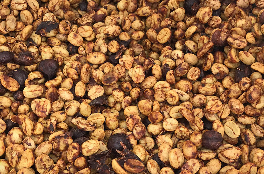 Geisha Caturra Washed Coffee